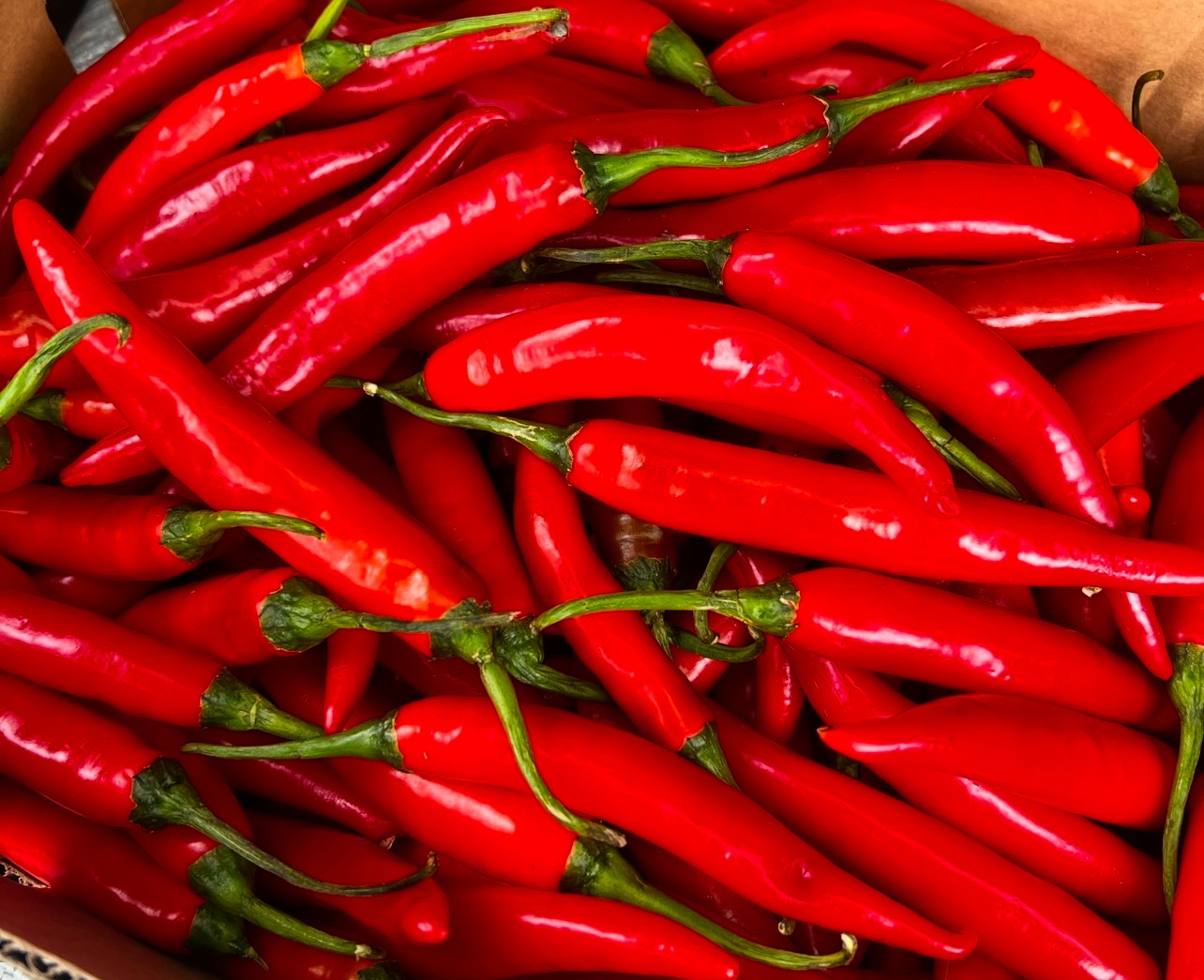 Ibu Sambal - Best Chilli Sauce Australia